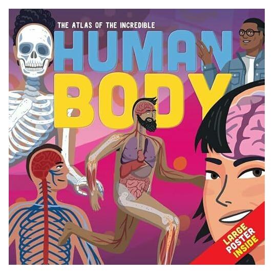 Nordic Quality The Atlas Of The Incredible Human Body - Galaxus