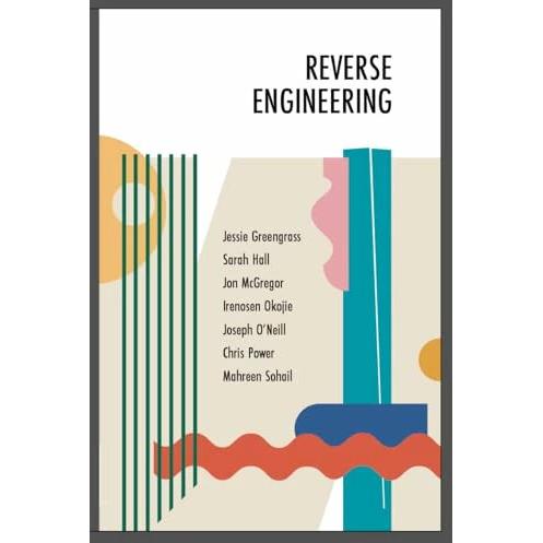 Scratch Reverse engineering - kaufen bei Galaxus