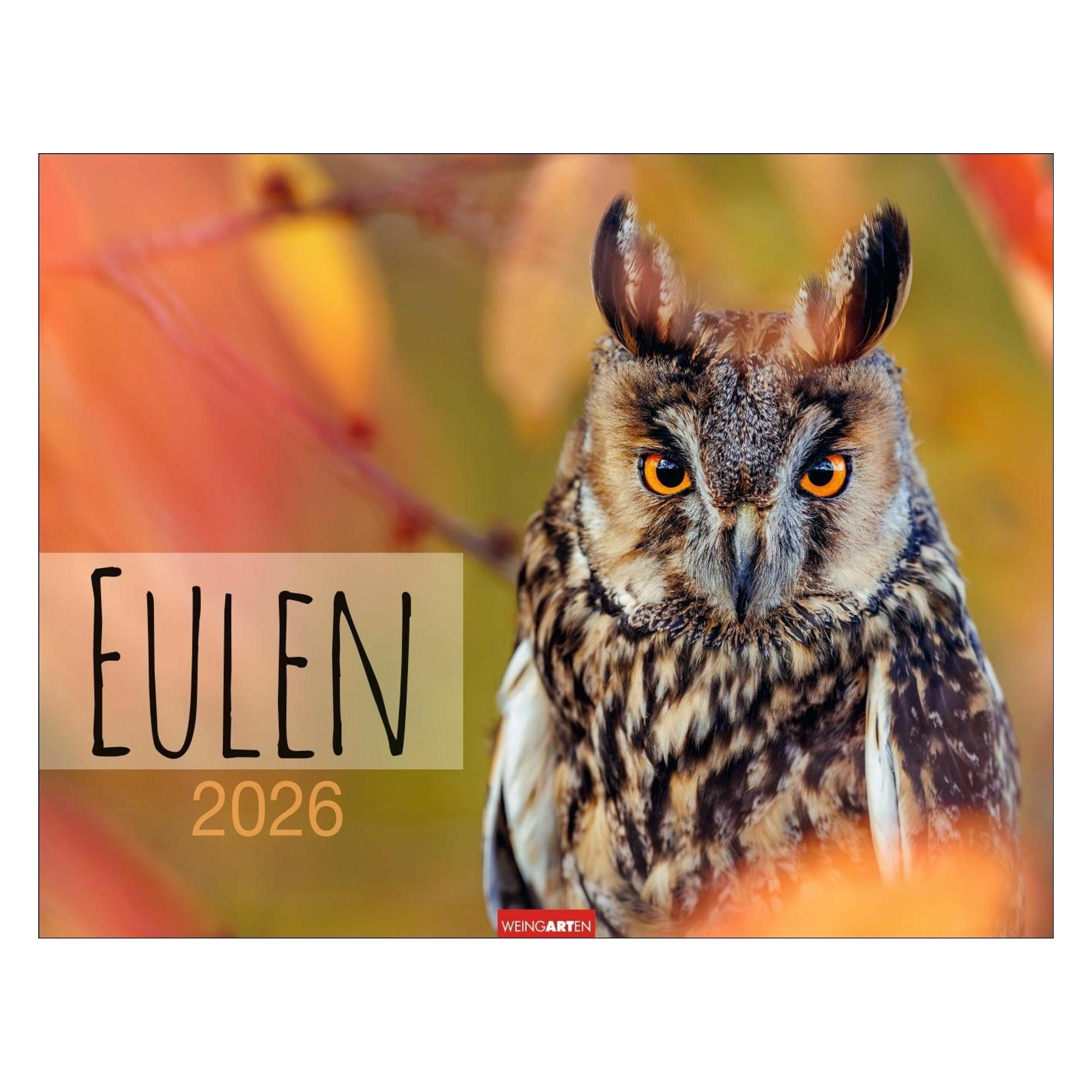 Weingarten Eulen Kalender 2026 - kaufen bei Digitec