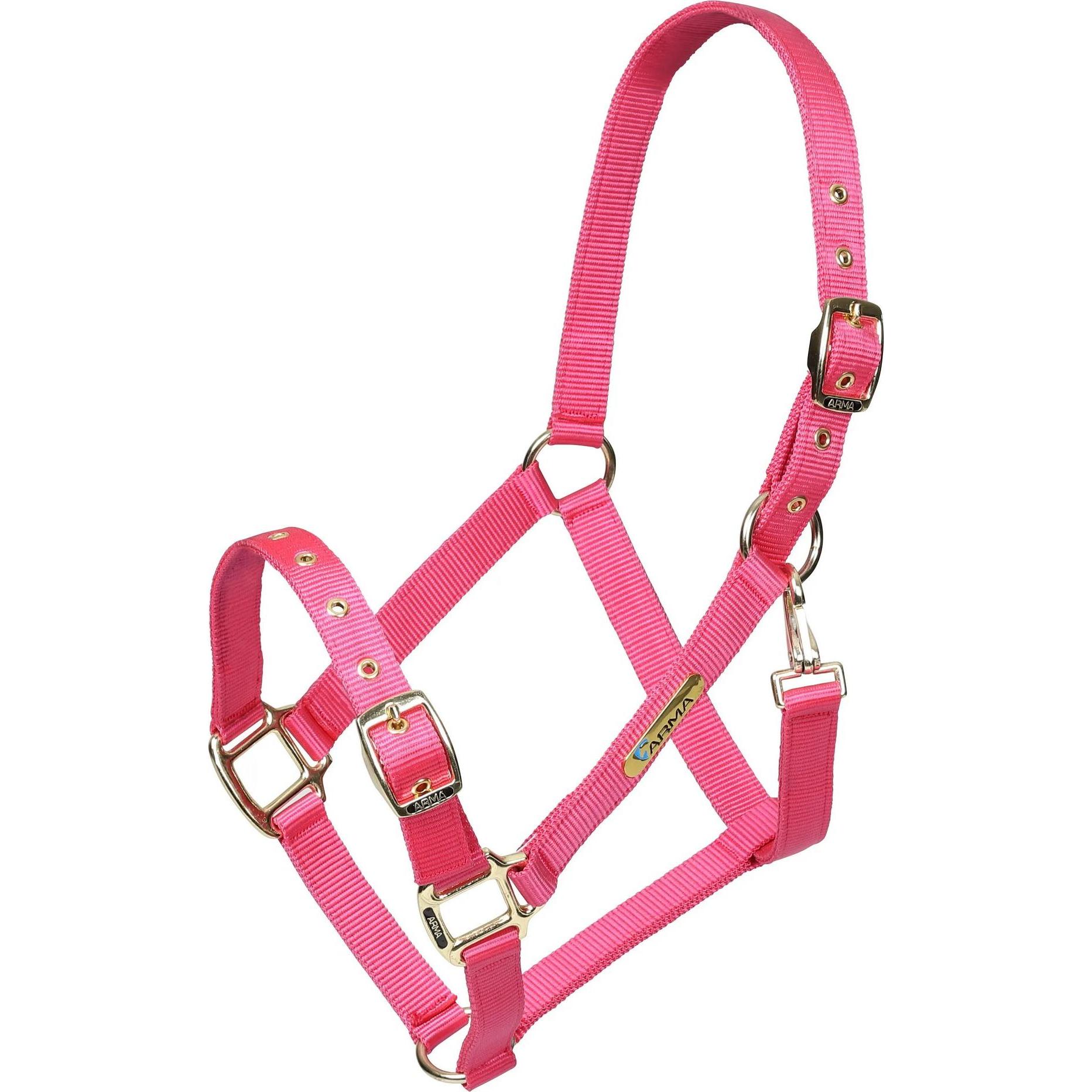 Arma Pferdehalfter anpassbar - kaufen bei Galaxus